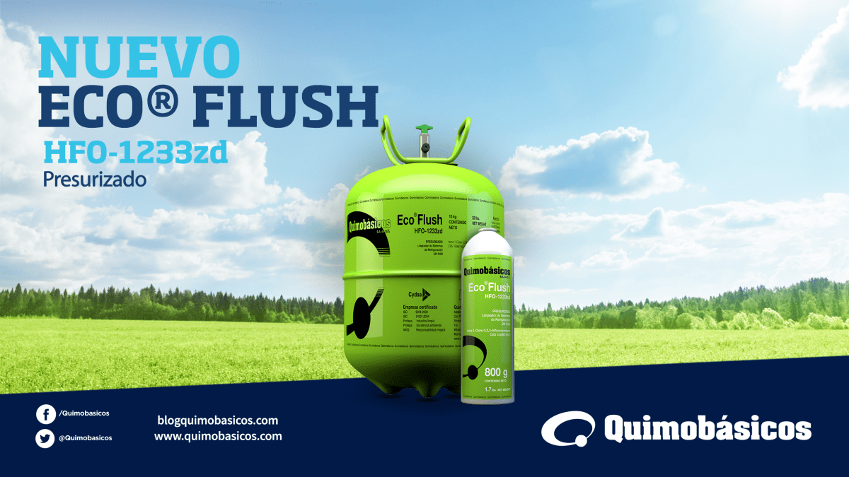 Guía Práctica de uso del Eco Flush 1233zd Presurizado, ¿en que varía ...
